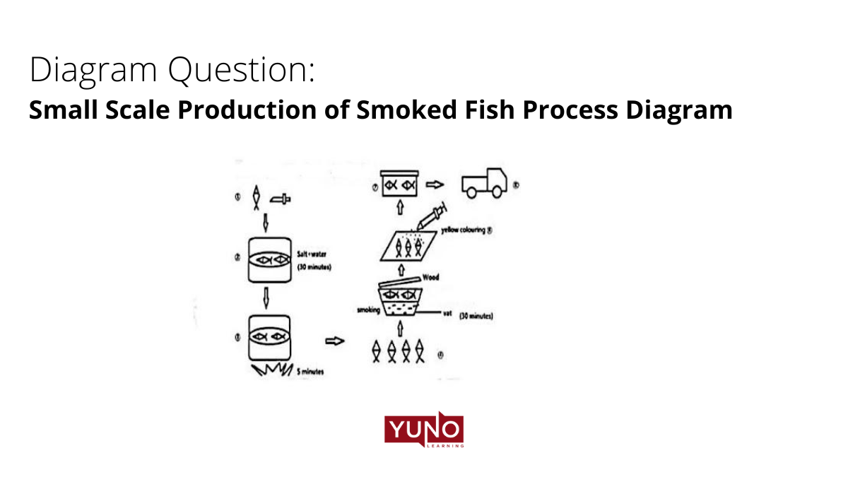 ielts-diagram-sample-answer-april-2022-yuno-learning